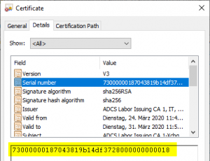 Revocation of an issued certificate - Uwe Gradenegger